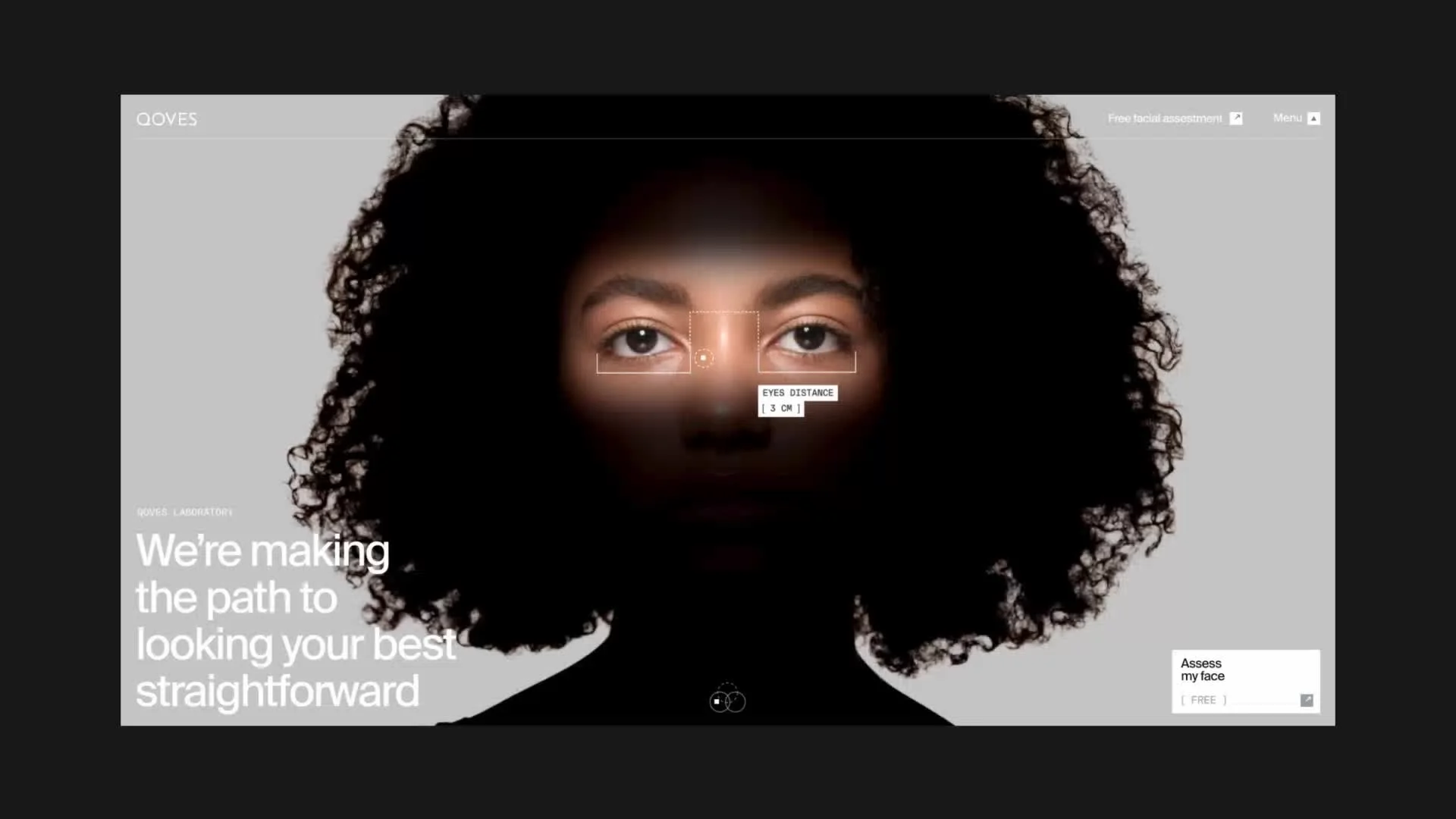 Сайт для сервиса анализа внешности с ИИ — Chipsa